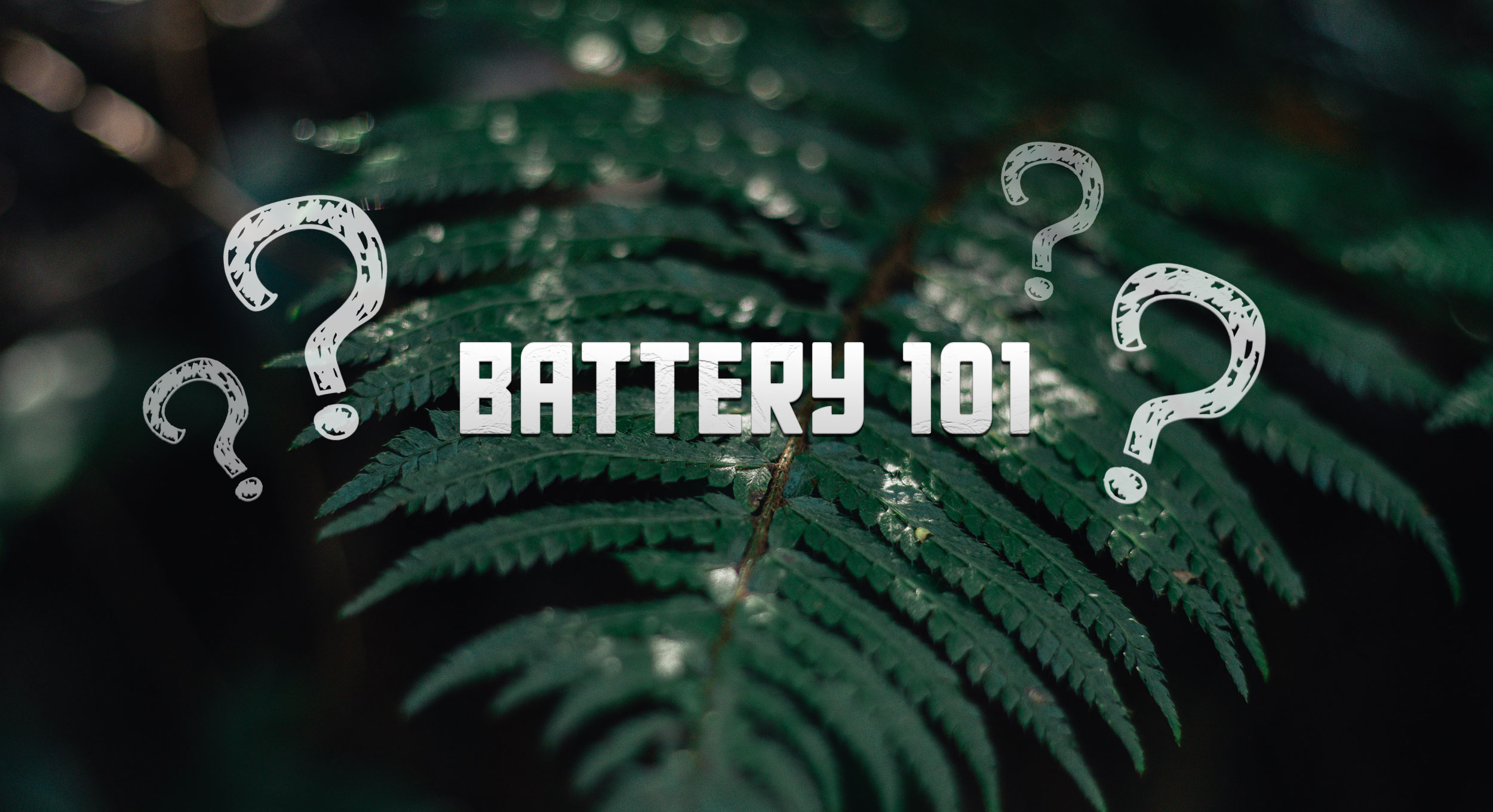 BATTERY 101 - How To Choose Your New Battery - Tales of the Tayna ...